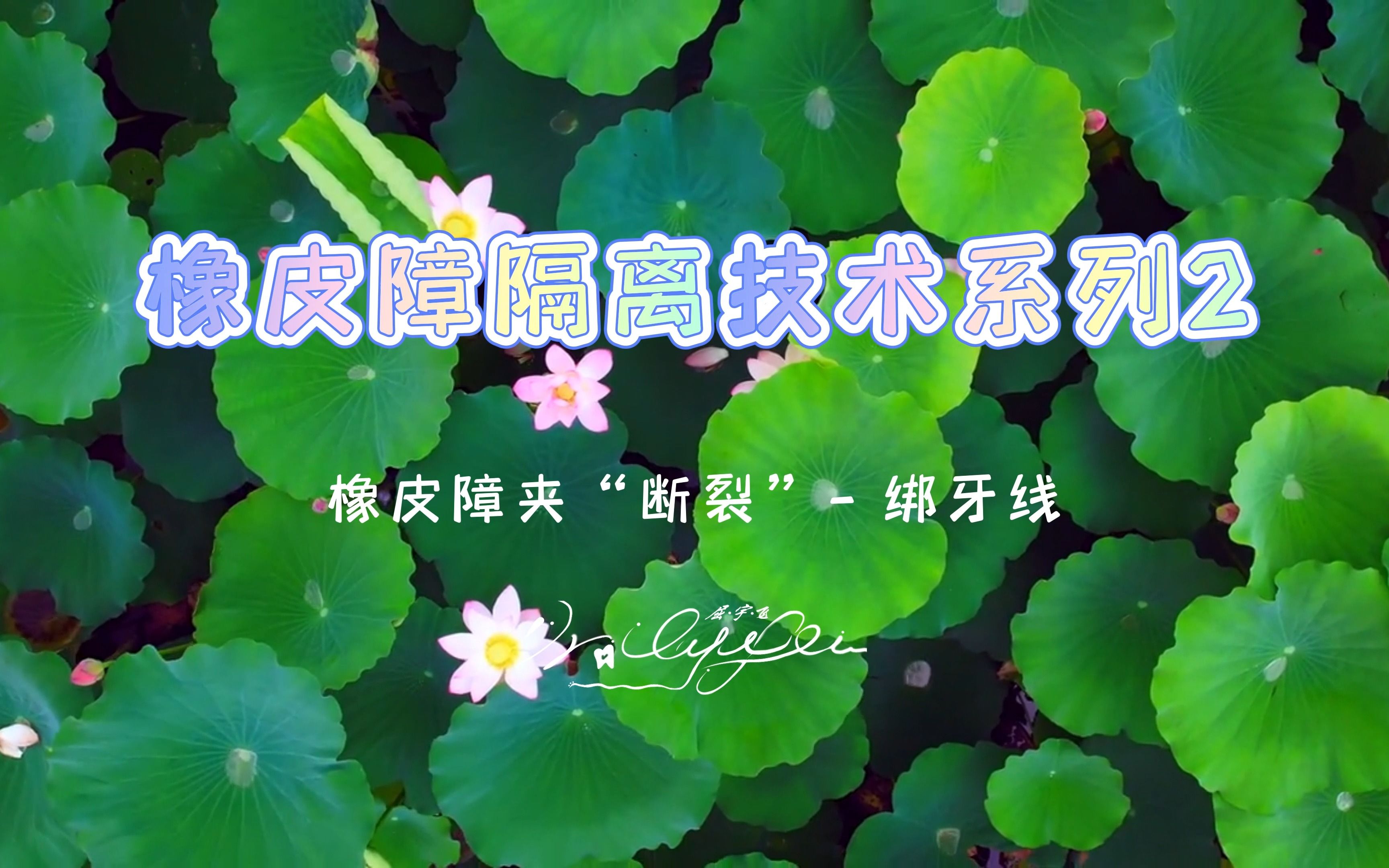 橡皮障隔离技术系列 2 橡皮障夹“断裂”- 绑牙线