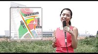 2012年国有建设用地使用权公开出让拍卖主持