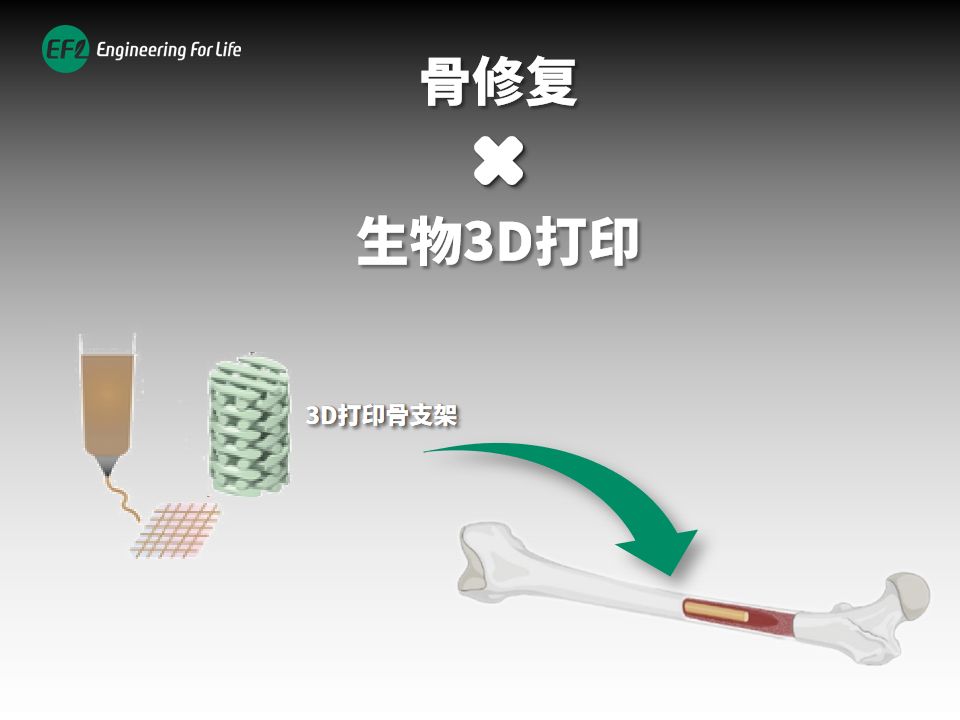 生物3D打印技术与应用-骨修复