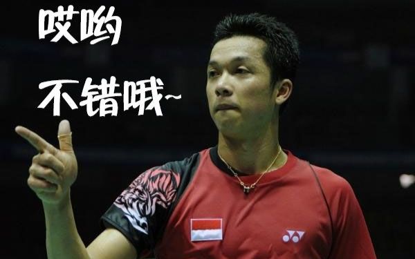 2010年羽毛球世锦赛男单QF 陶菲克VS李宗伟HighLight