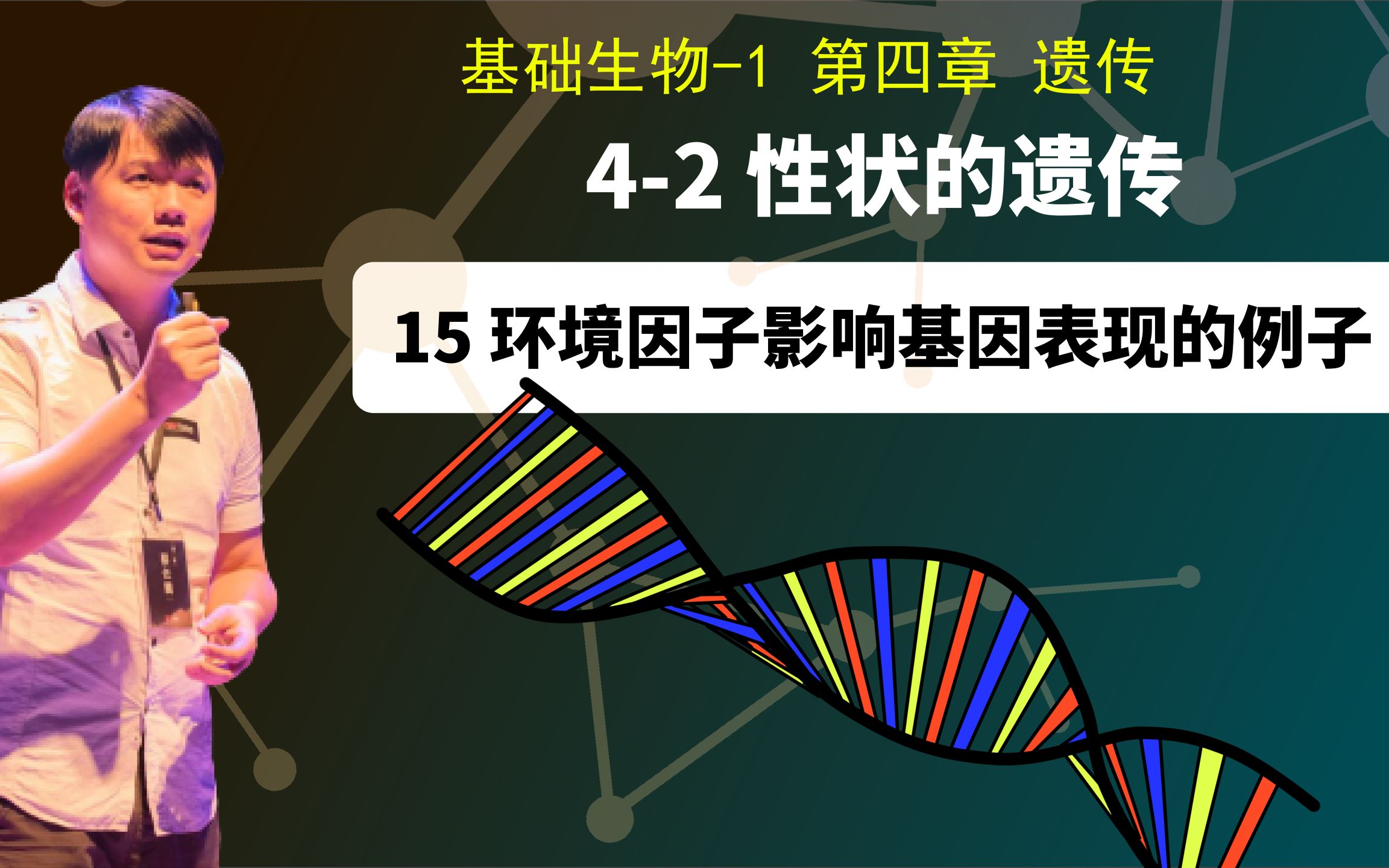 基础生物学4-2.15 环境因子影响基因表现的例子