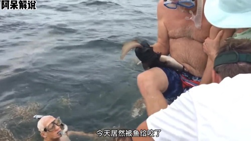 鲨鱼紧紧咬住男人肚子不松口,看最终如何将鲨鱼拔除