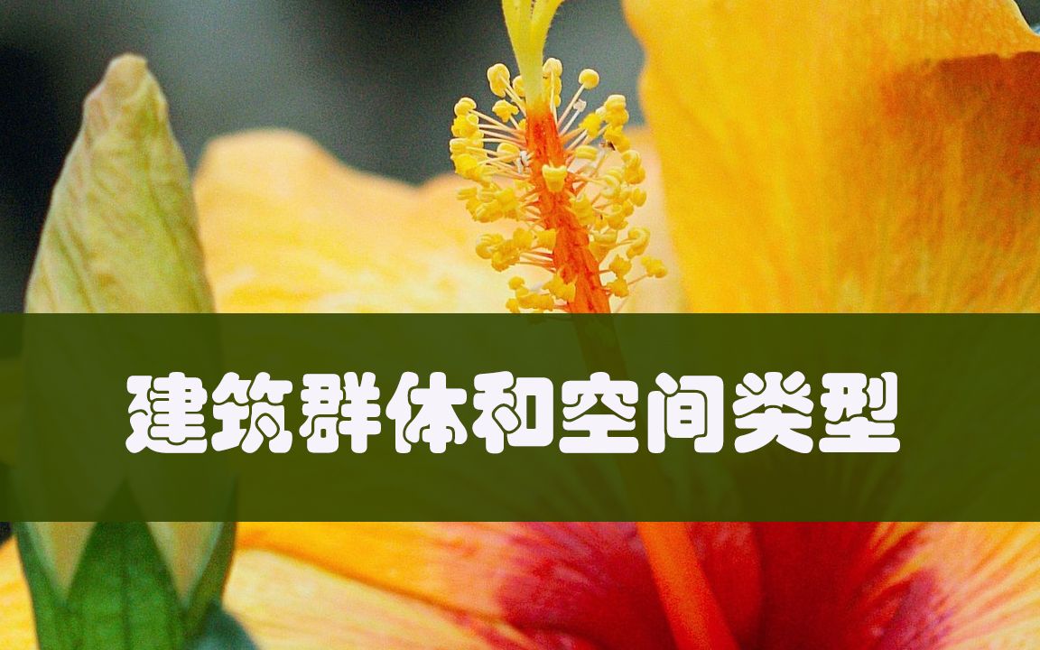 建筑群体和空间类型