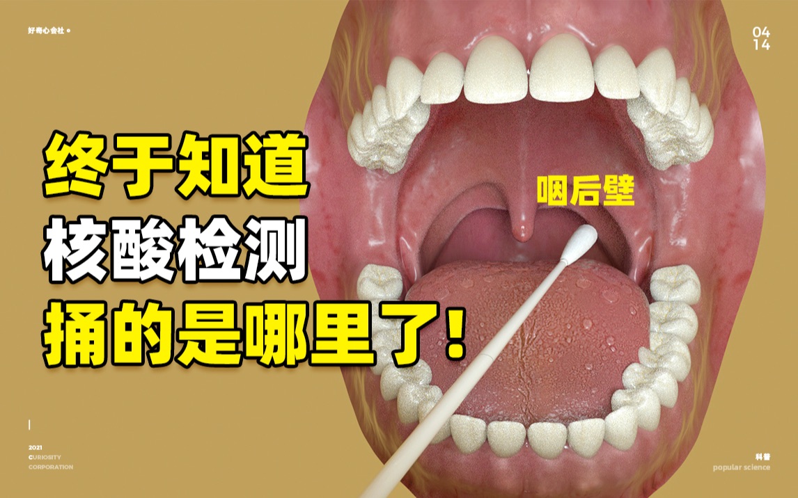 做了那么多次核酸检测,你知道捅的是哪里吗?