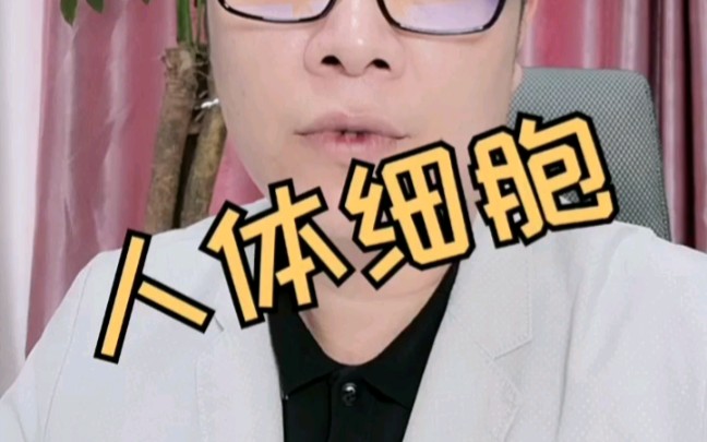 细胞园《人体细胞》,你知道人体内总的有多少个细胞吗?