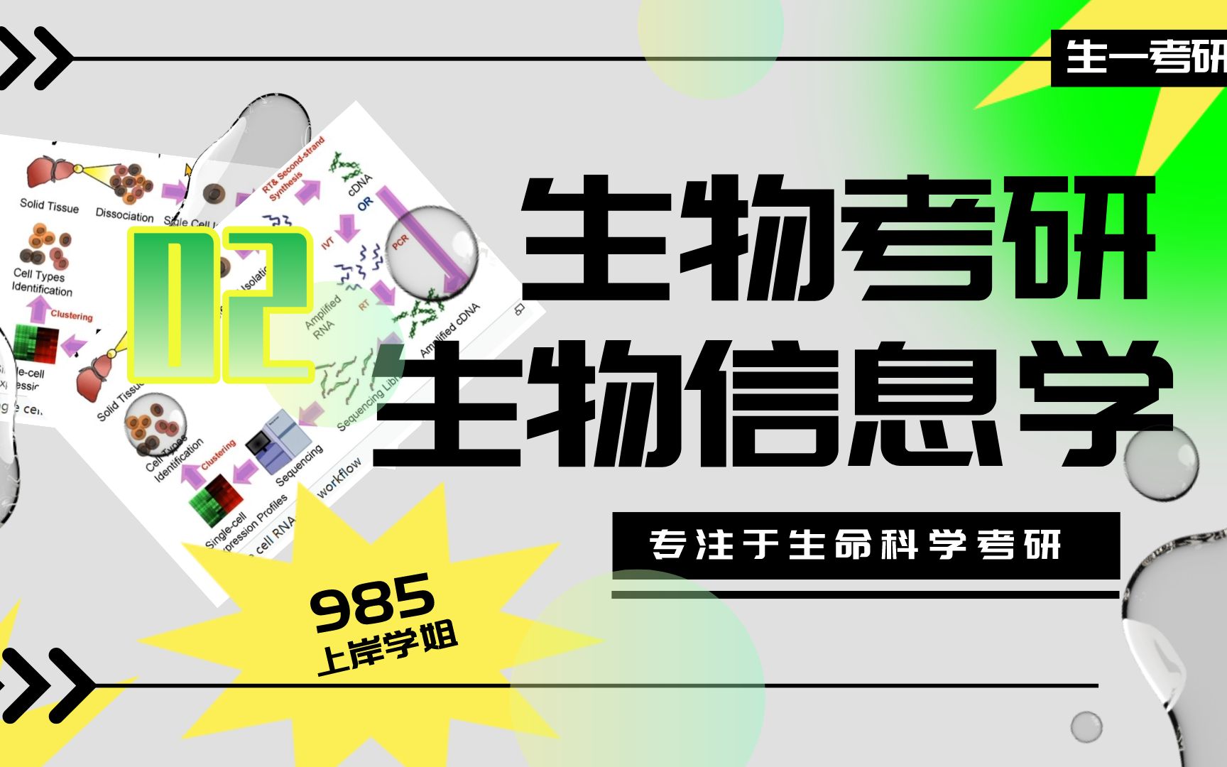 生物考研——考研专业的选择,什么是生物信息学?和细胞、生化有什么...