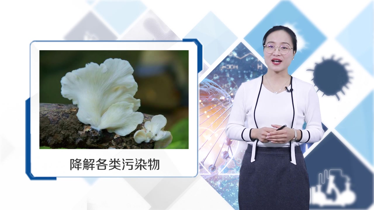 1-2微生物的特点