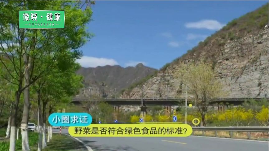 绿色食品标准是什么 野菜是否符合绿色食品标准
