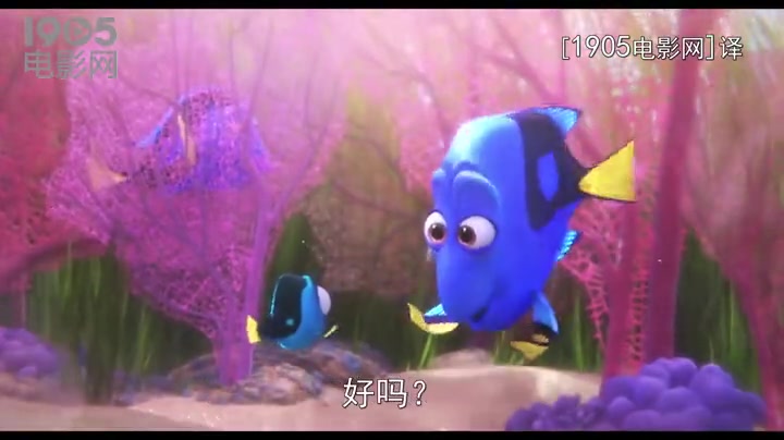 《海底总动员2》中文片段 多莉与父母玩捉迷藏