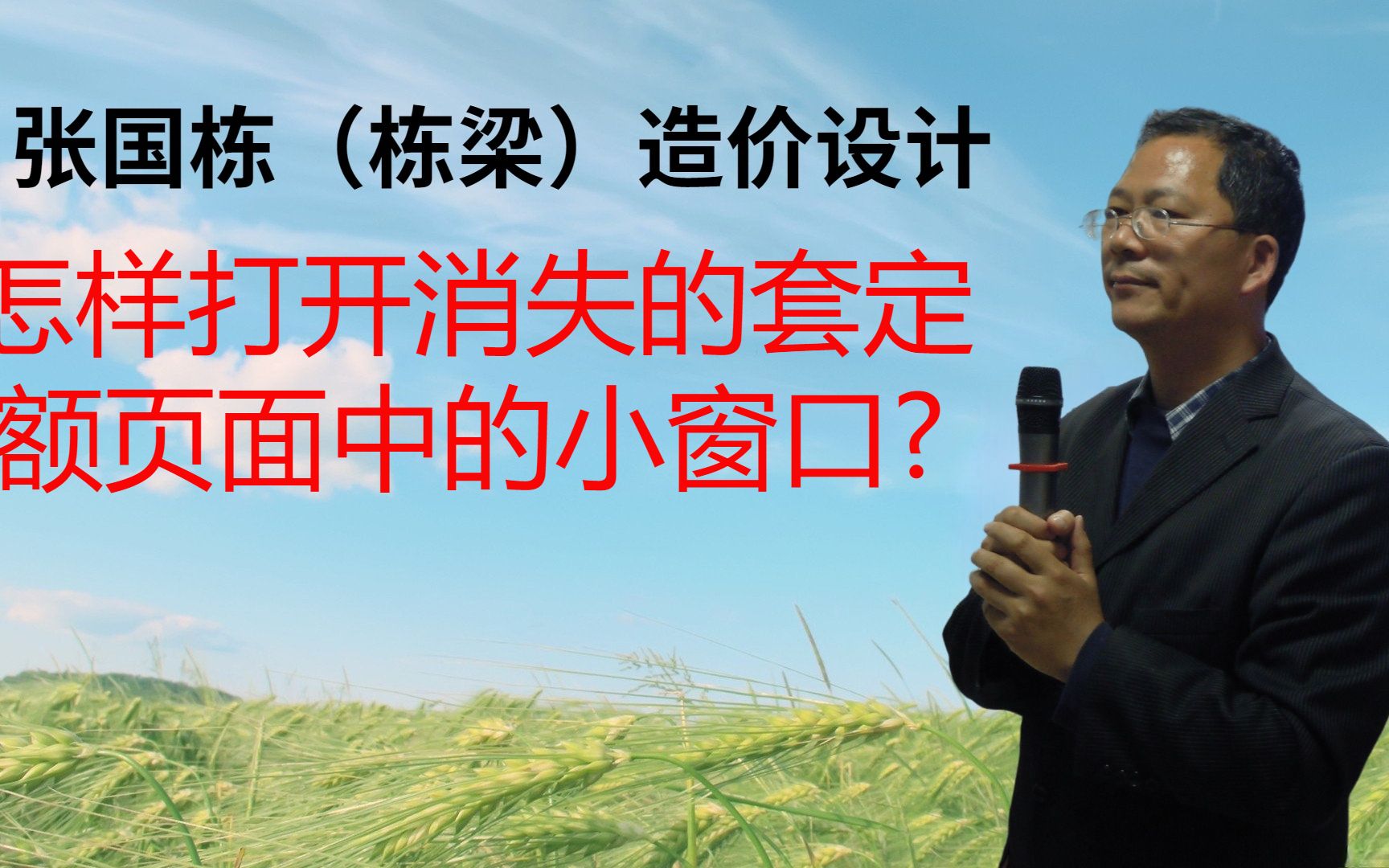 张国栋(栋梁)造价设计:怎样打开消失的套定额页面中的小窗口?