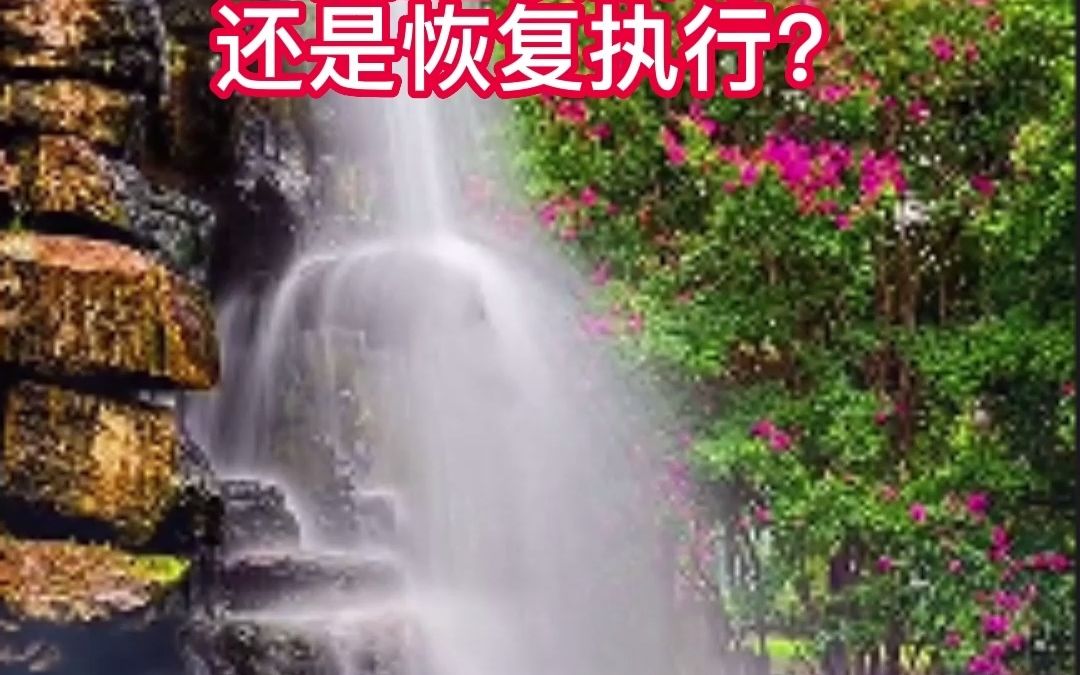 是继续执行还是恢复执行?