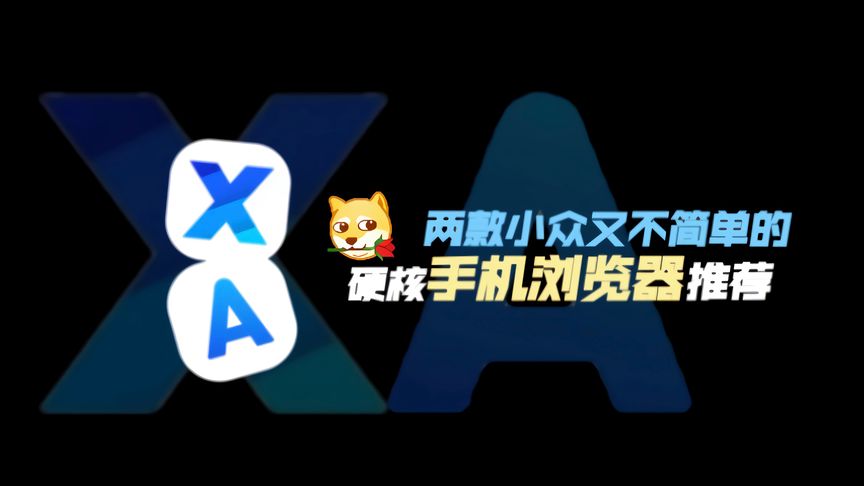 这两款小众又不简单的硬核手机浏览器(推荐)