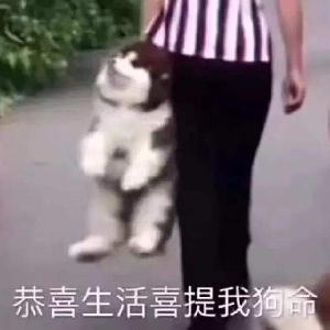 爱机车的吃货程序员 