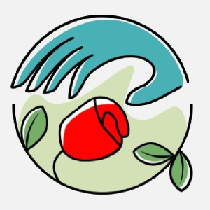 拾花课件 