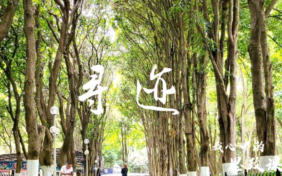 我心中的思政课微电影 《寻迹》