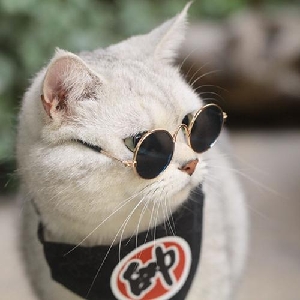 叁仰画贰缕 