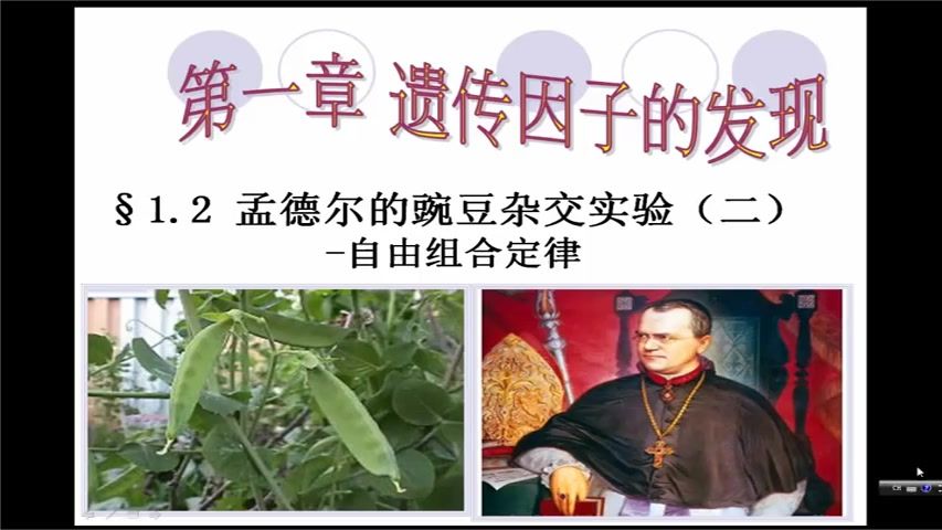 基因的自由组合定律