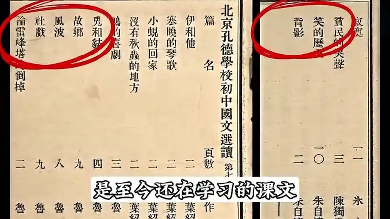 新文化运动的"新"体现在何处?