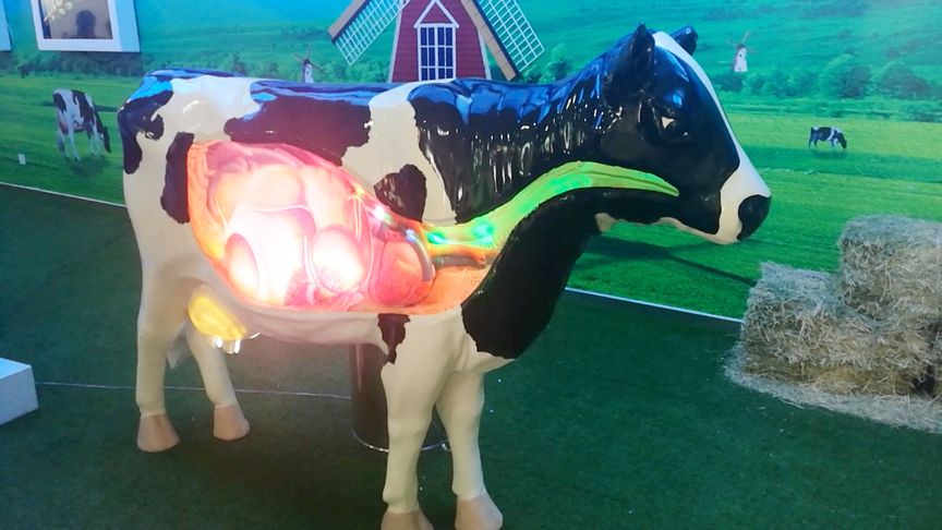 伊利牛奶制造全过程模拟,共八个环节,一清二楚!