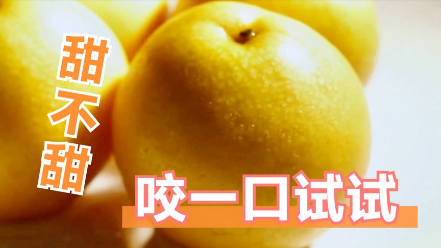 梨树嫁接开花结果--秋黄梨
