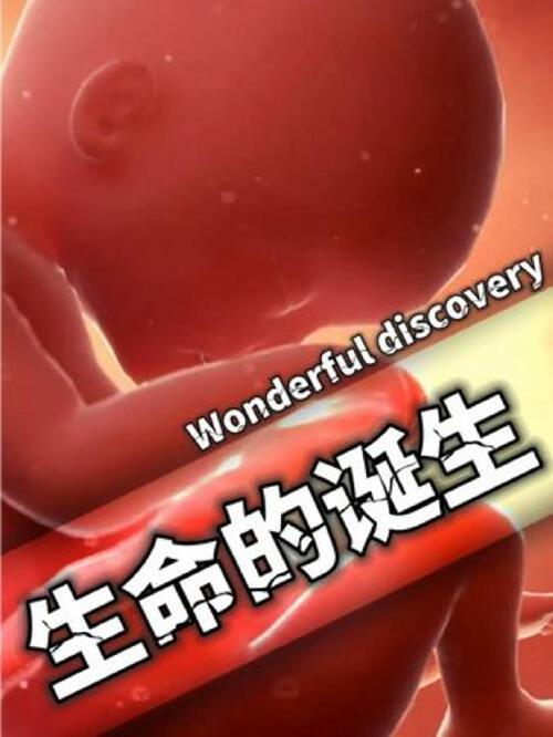 生命的诞生真的很神奇,从小蝌蚪到完整的人类堪称一场伟大的奇迹