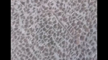 5 10mm钢化玻璃防火级别。