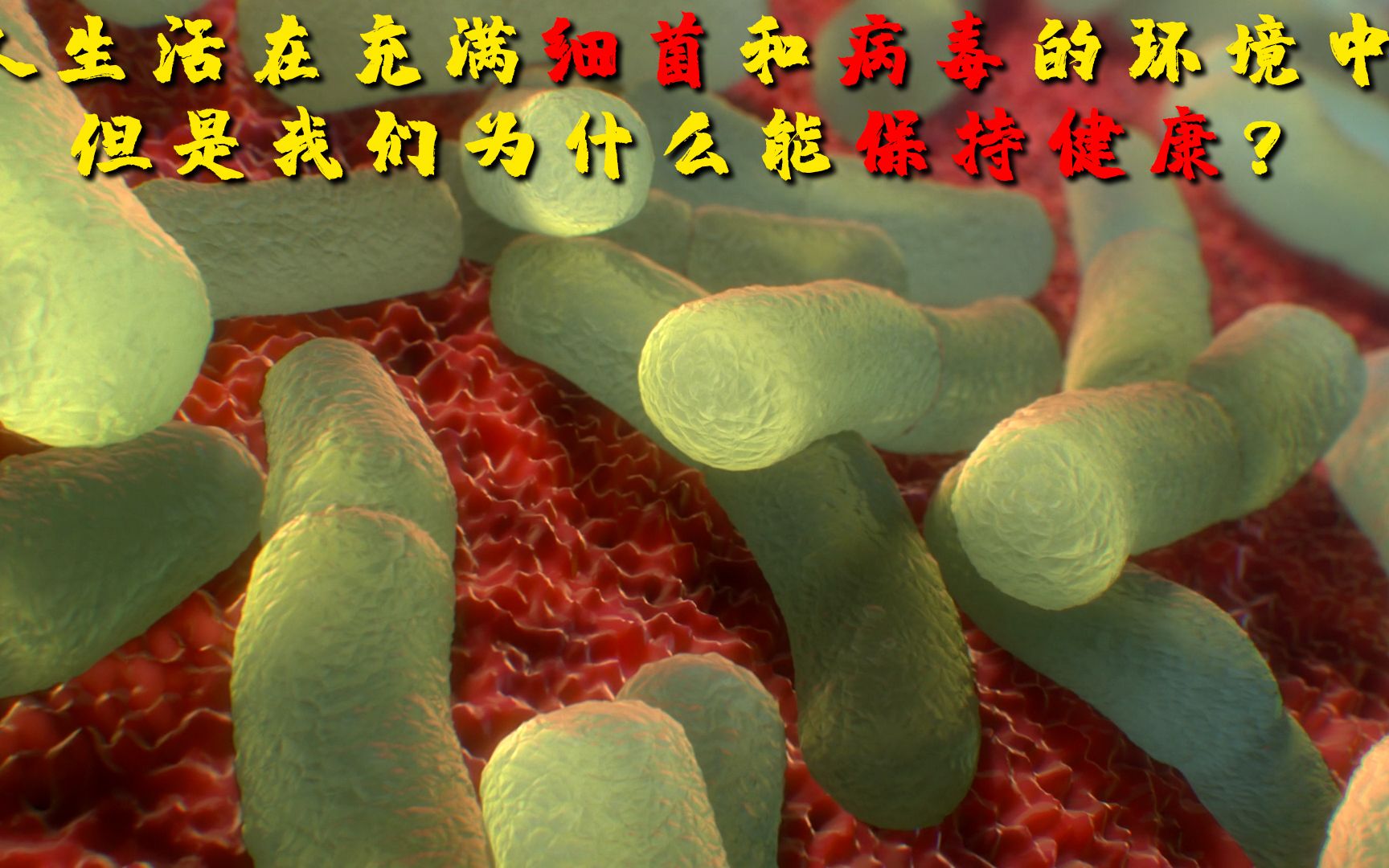 人生活在充满细菌和病毒的环境中,但是我们为什么能保持健康?今天带...