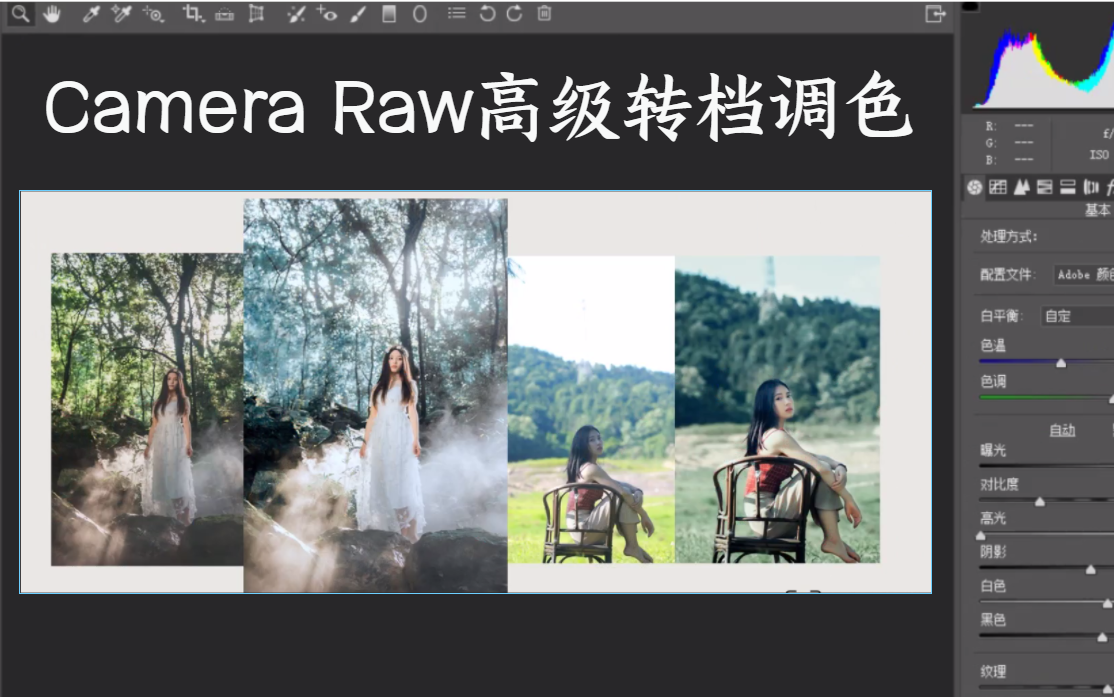 精通Camera Raw转档调色,核心技法全掌握!