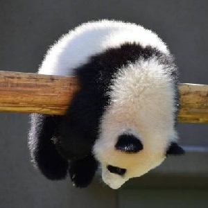 一个小时呀 