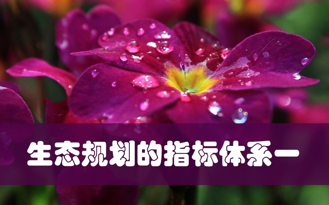 生态规划的指标体系一