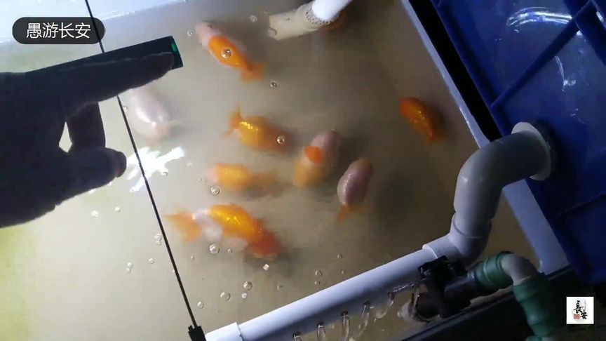 周转箱过滤运行一段时间,分享一些设计使用中的细节