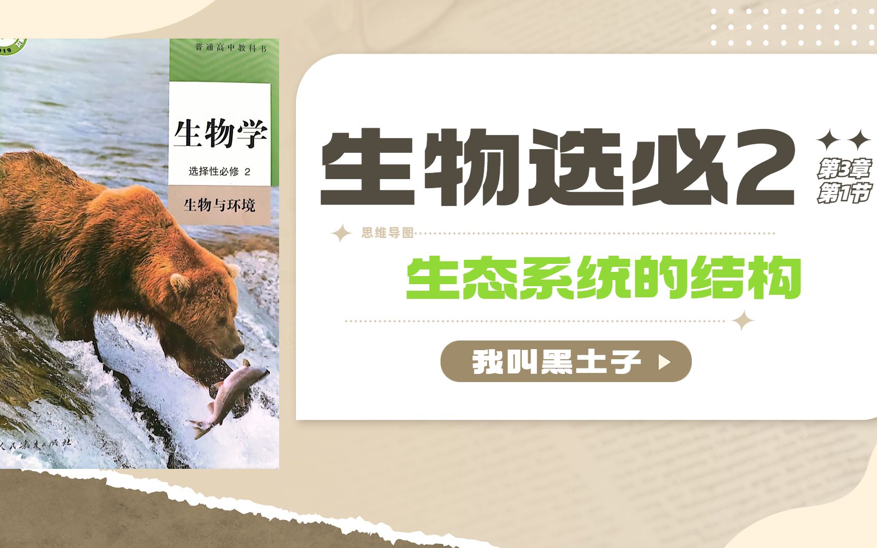 高中生物选必2 3.1生态系统的结构