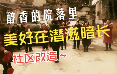 【城市/纪录片】醇香的院落里,美好在潜滋暗长
