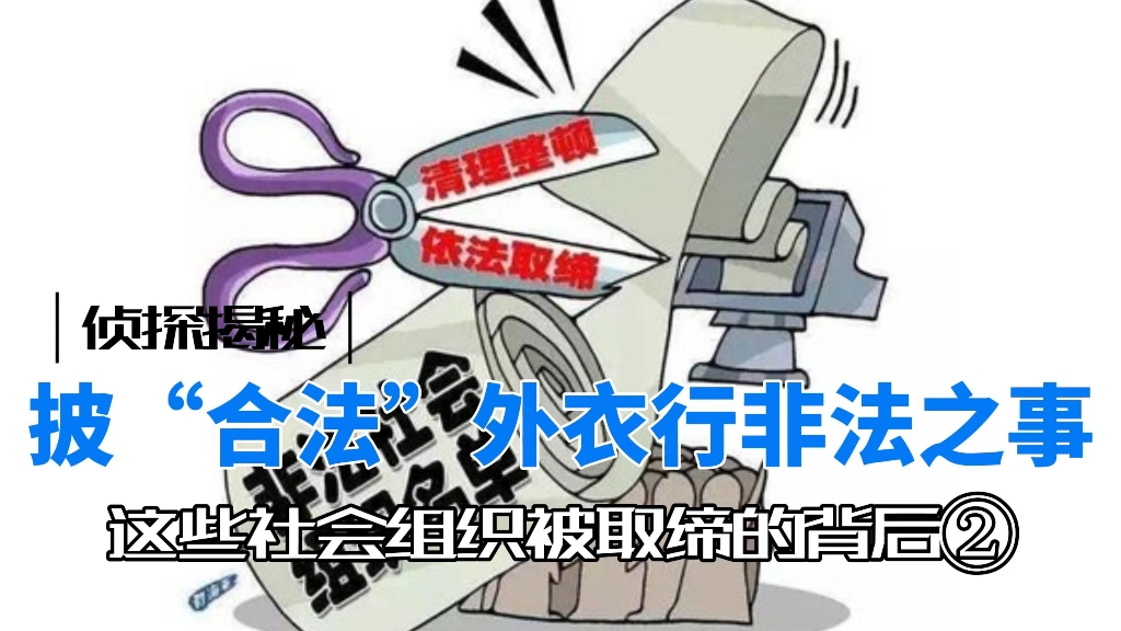 ...社会组织被取缔的背后②#非法组织#机动车年检#第三方检测机构#...
