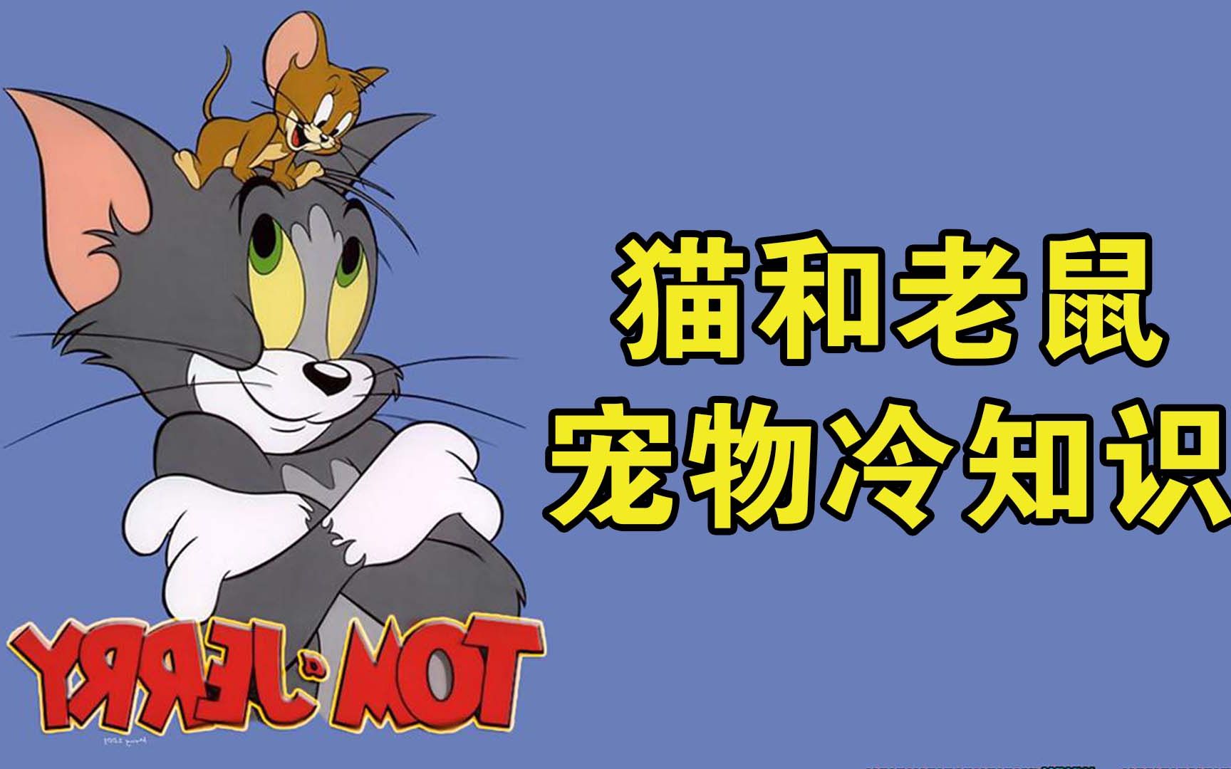 众所周知,猫和老鼠是一个记录片,里面记录了很多宠物知识!