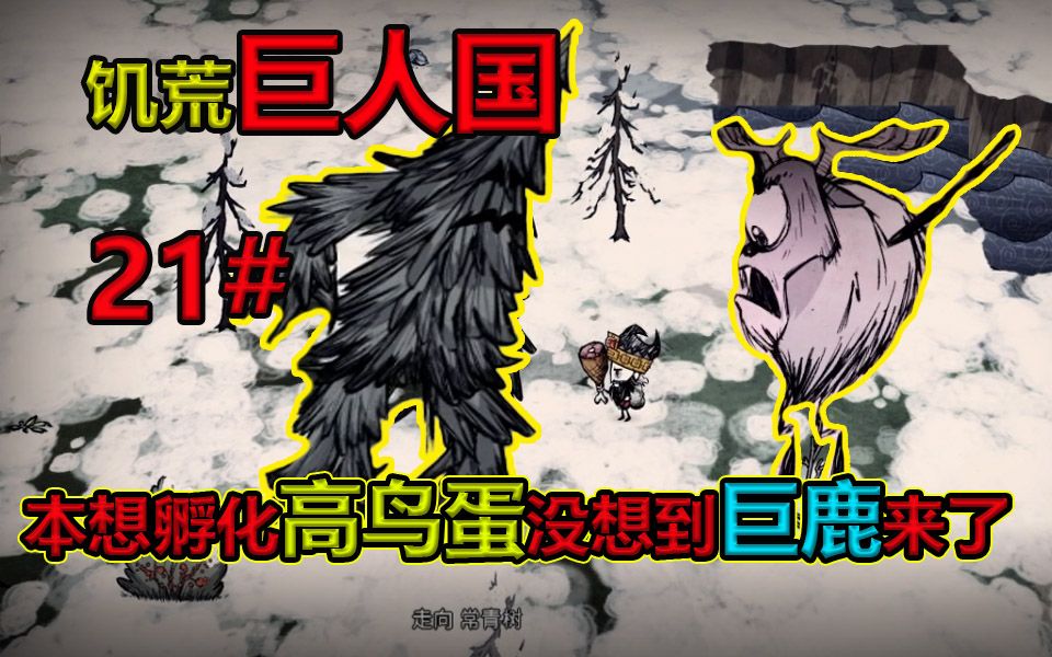 饥荒巨人国21期:本想孵化高鸟蛋没想到巨鹿来了