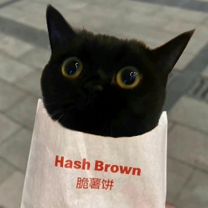 脆脆猫饼 