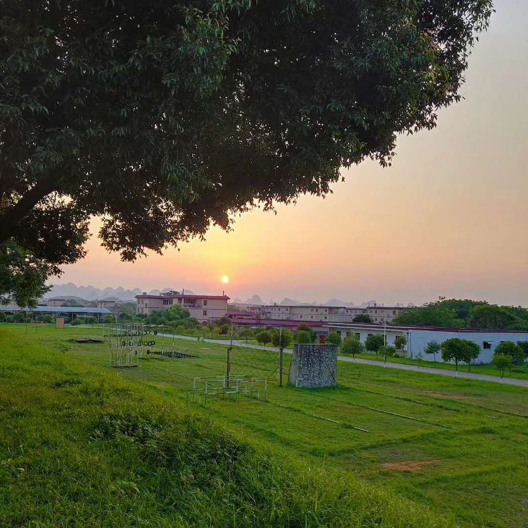 qq_2208809648 