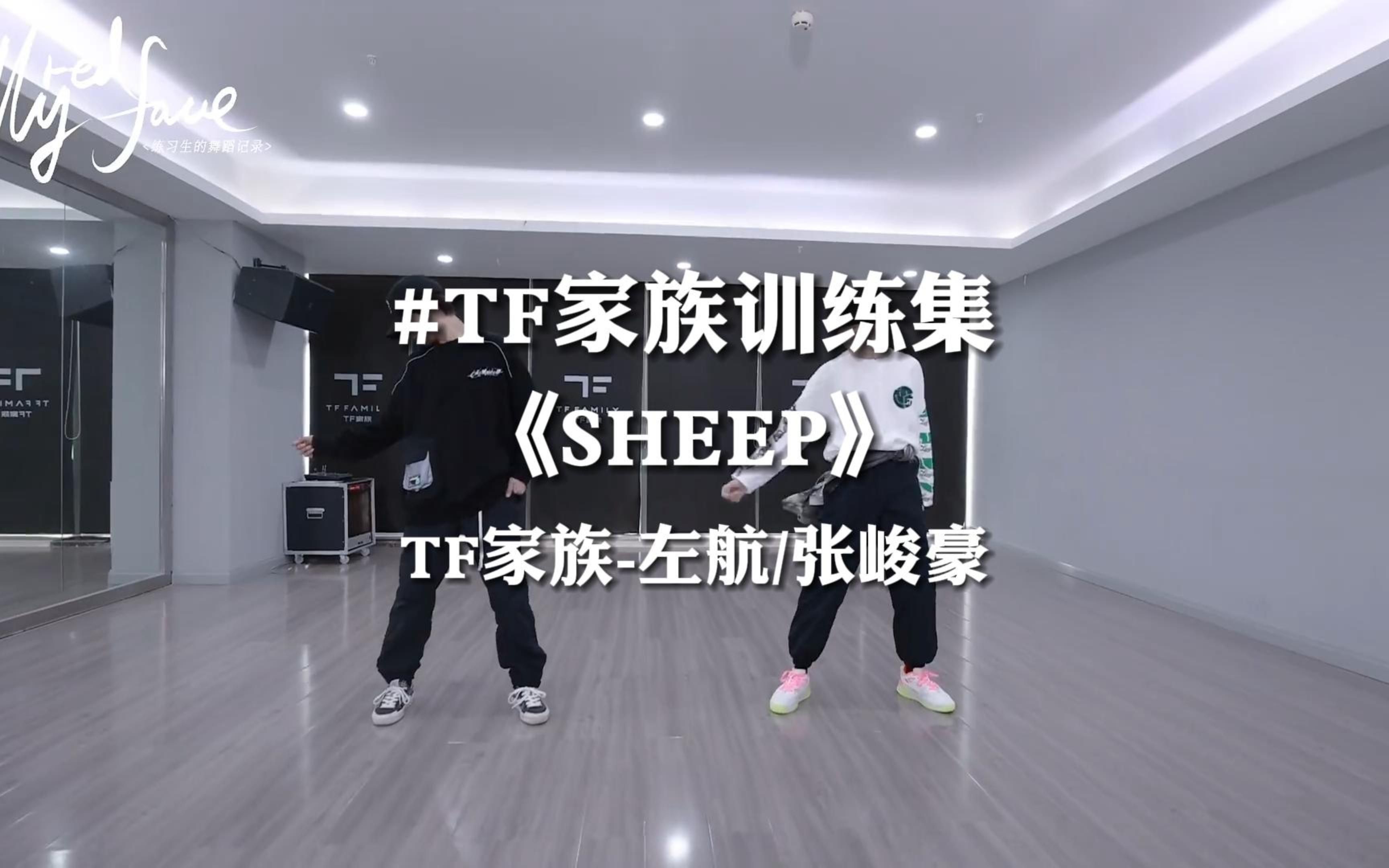【TF家族-左航/张峻豪】《SHEEP》