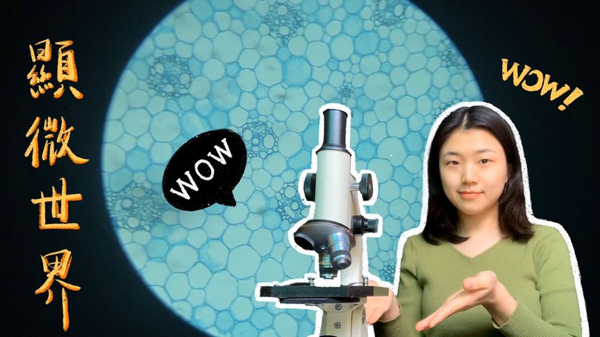 带你们用显微镜看细胞,原来它们长这样!我能不能自己做一个…