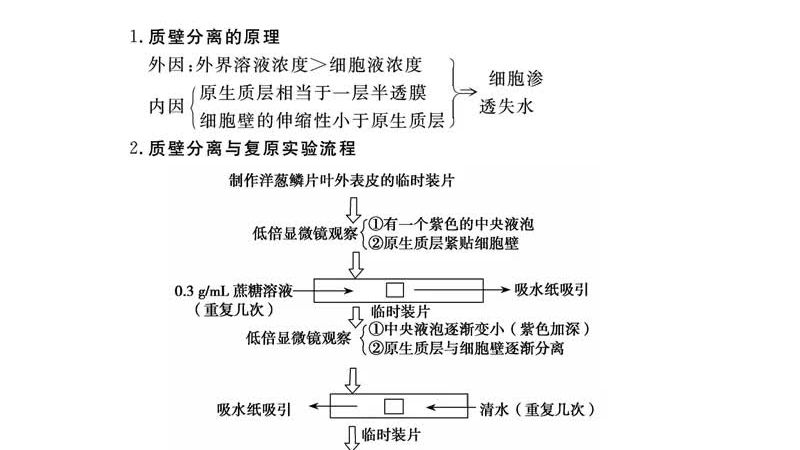 观察质壁分离及其复原实验的拓展应用