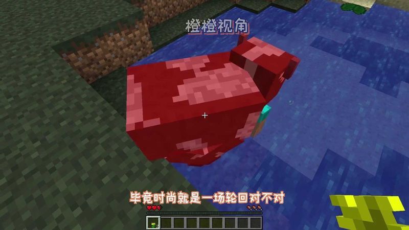 猛女生存!我的世界贝爷生存 五歌x大橙子