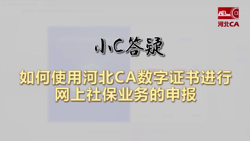 如何使用河北CA数字证书进行网上社保业务的申报