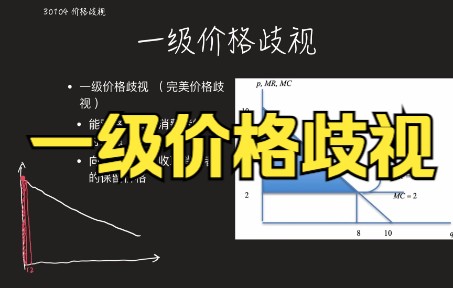 一级价格歧视 | 产业组织专题