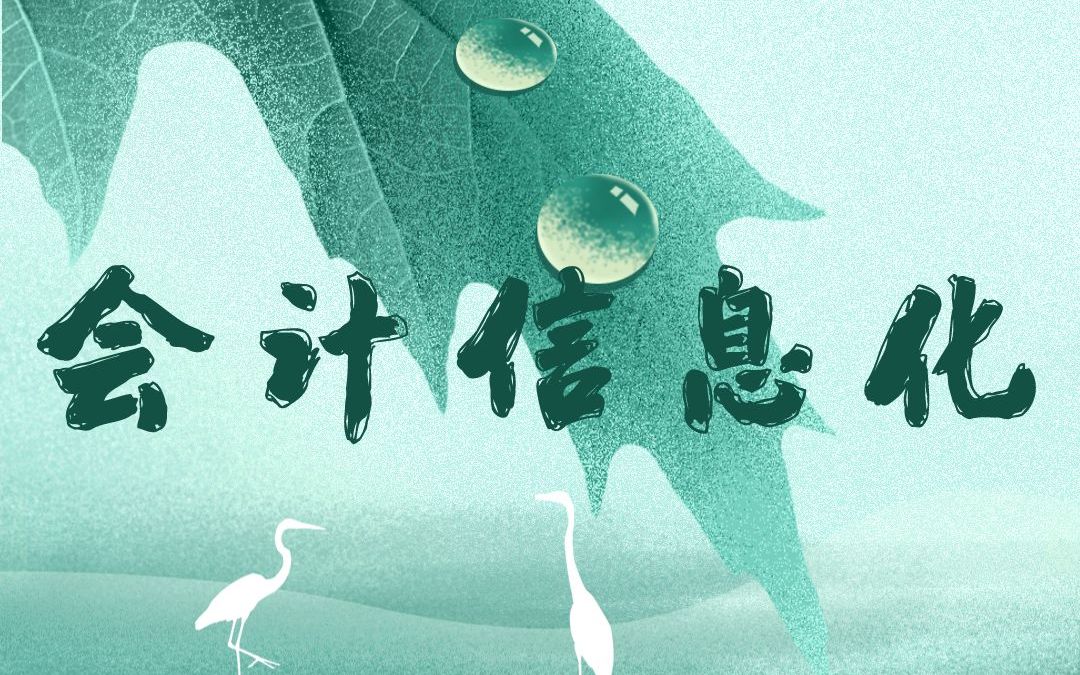 会计信息化(10.11下)