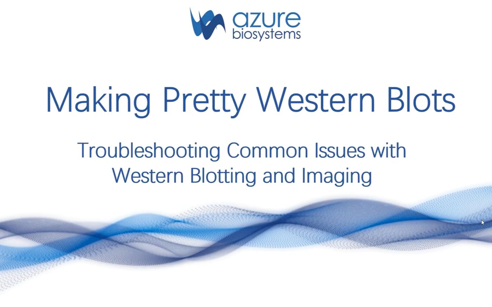 Western Blot常见问题分析