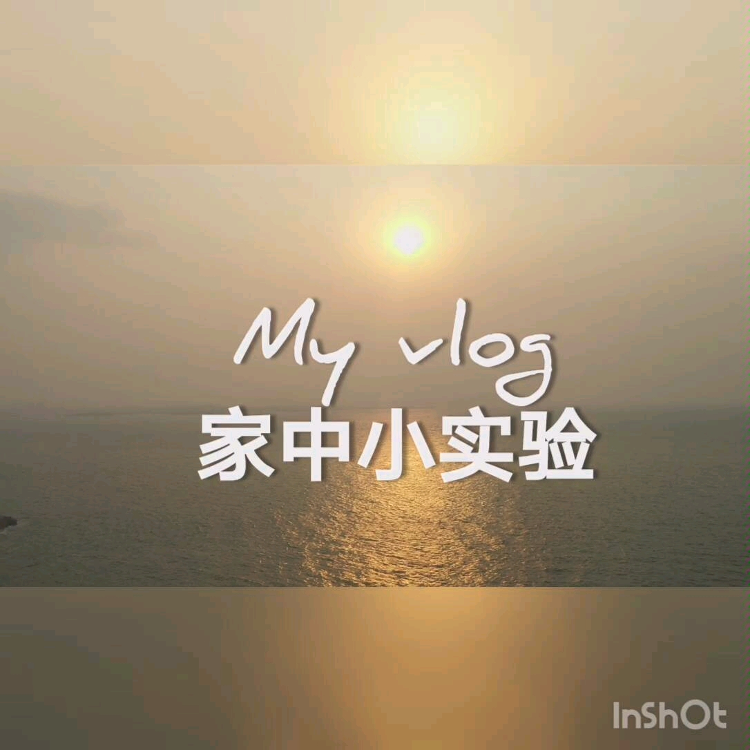 我的vlog 家中小实验 | 化学实验 | 作业|