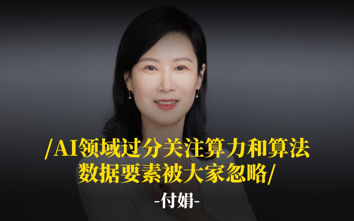 付鹏对话付娟:AI领域过分关注算力和算法,数据要素被大家忽略