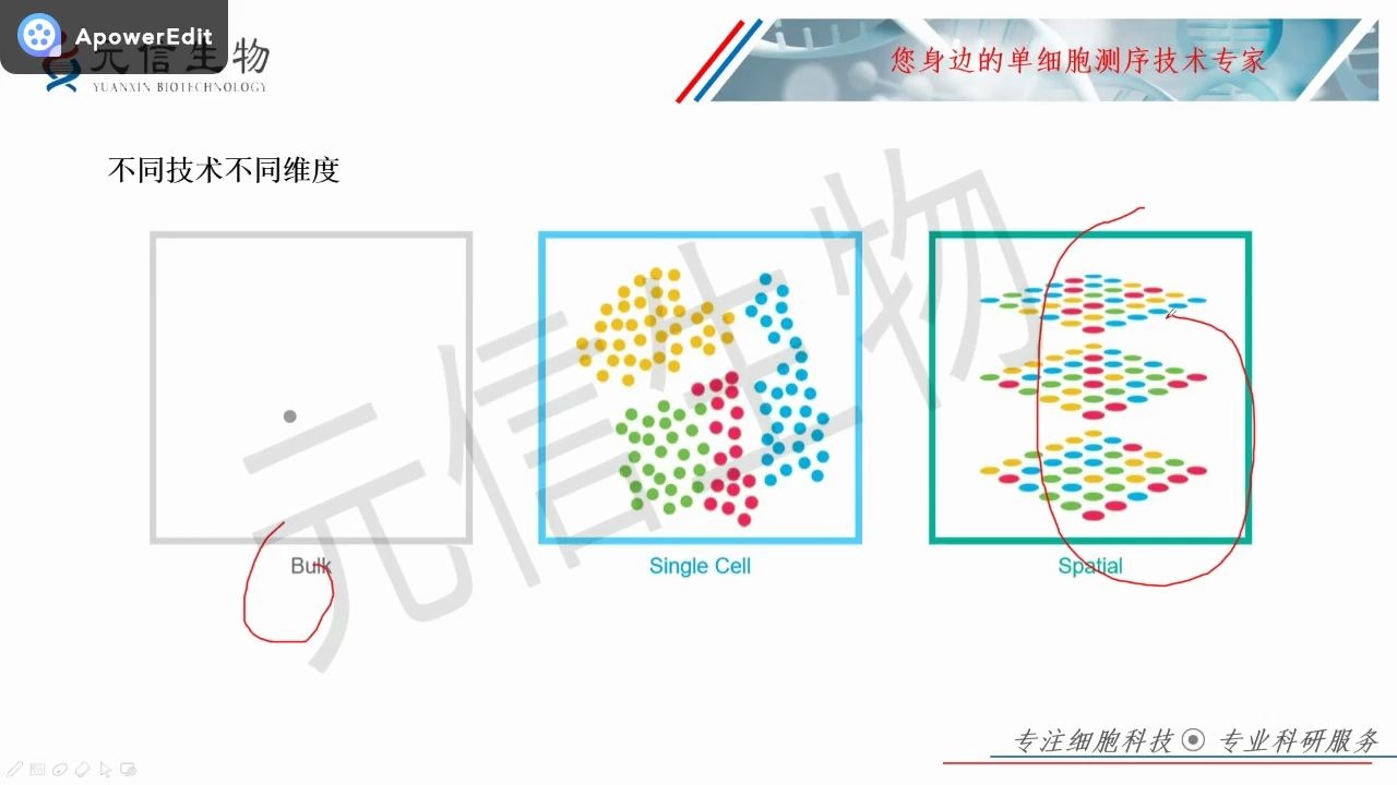单细胞测序之空间转录组全解析 论文研究所第二期