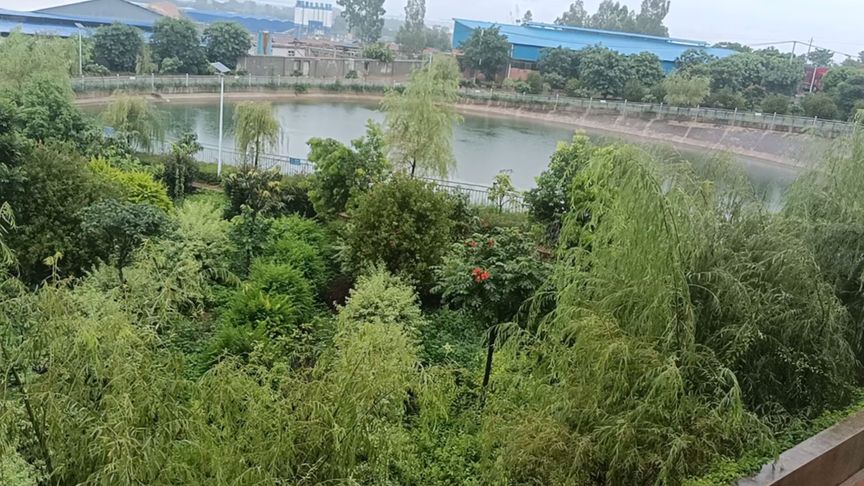 现代化的屠宰场,有花园,鱼塘,闻不见一点点味道